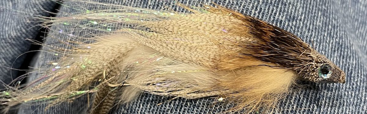 Streamer Fishing For Trout - How To Start – Reel Passion LLC
