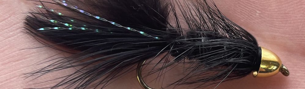 Woolly Bugger - Fly Pattern Info – Reel Passion LLC